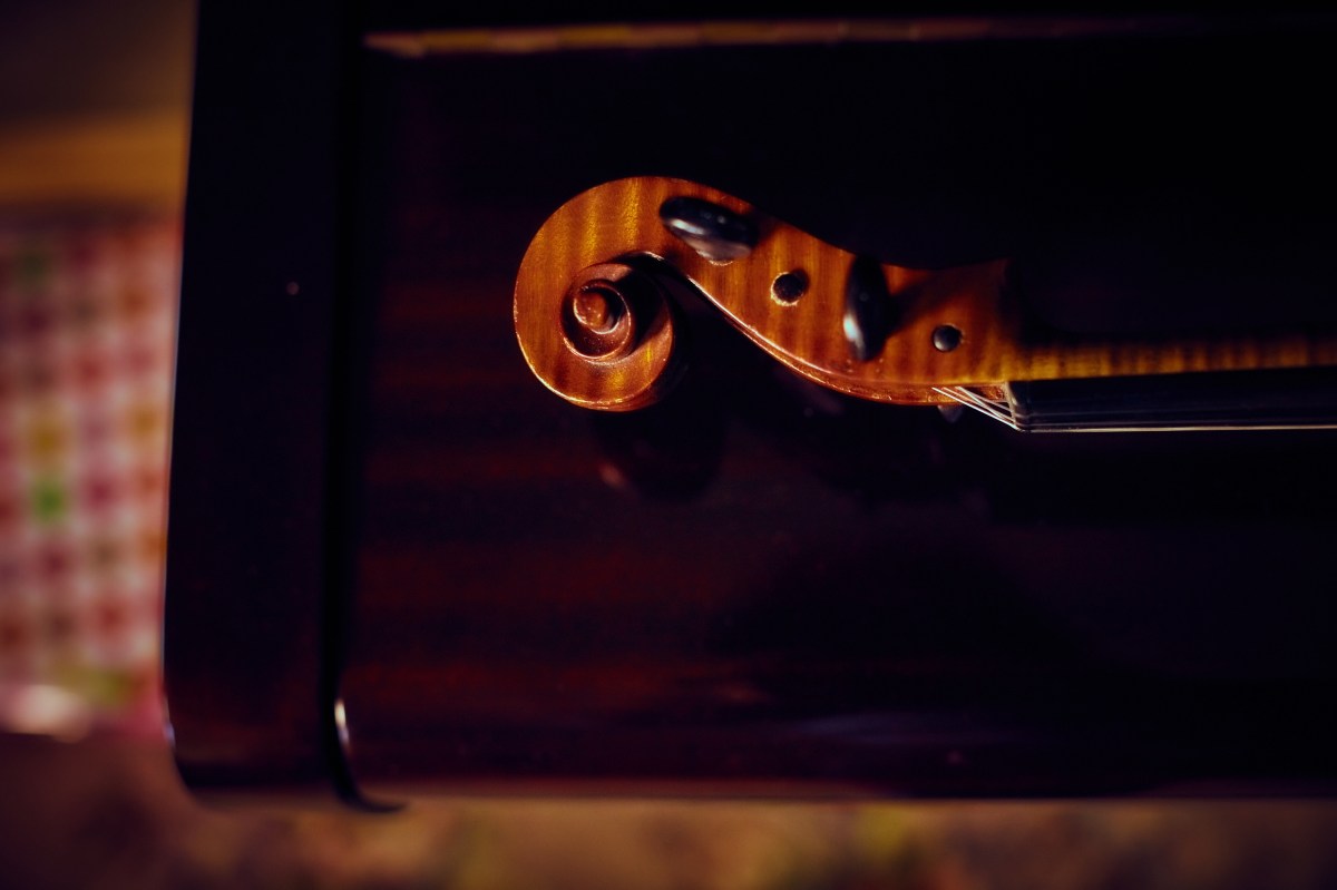 Violin & Piano Lessons 🎼 New Term January 2024 – Valerie Gunning